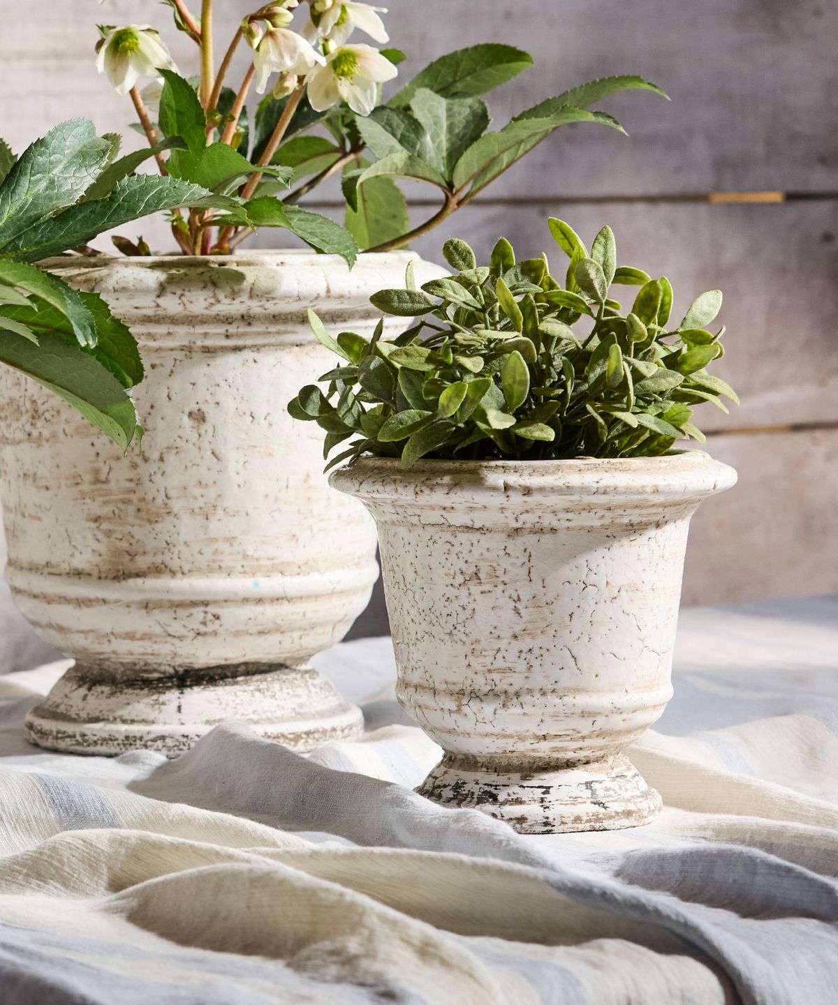 Spring Collection – Storey Collection
